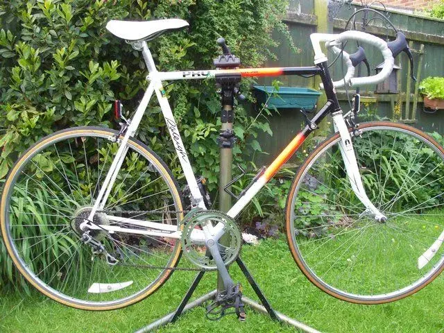 Raleigh pro race 12 reynolds 501 sold Retrobike