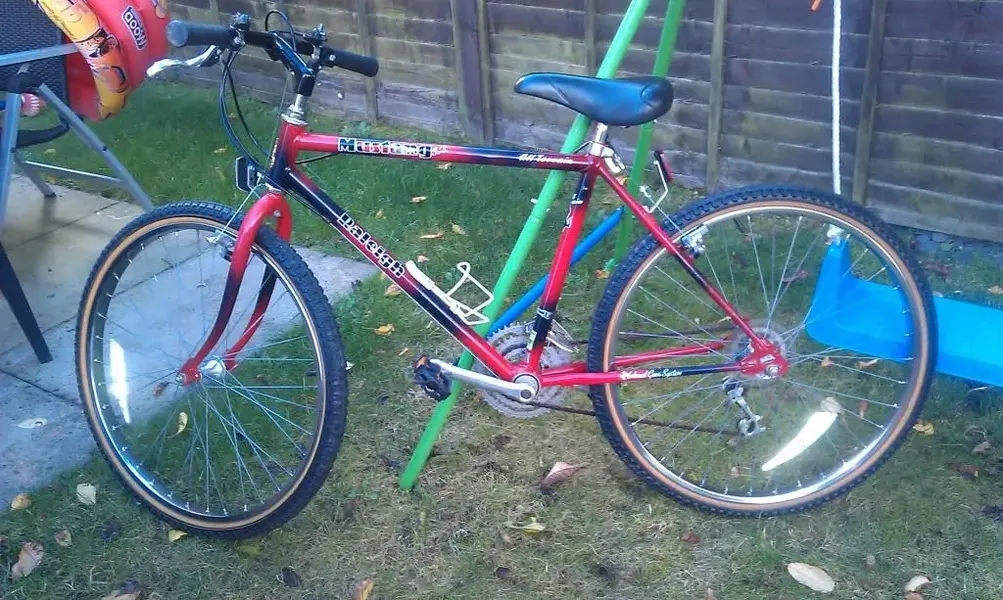 Raleigh mustang mountain bike store