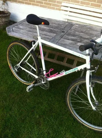 ALL SORTED Exage Mountain M450 (1988) | Retrobike