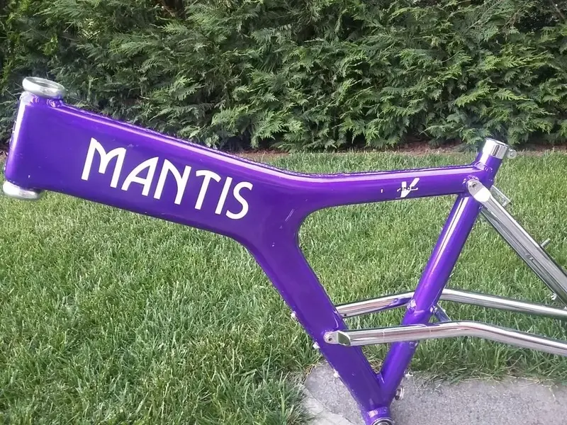 MANTIS FLYING-V ( 18" ) - SOLD - | Retrobike