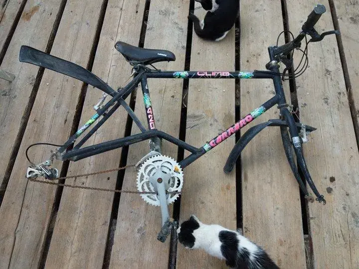 Elevated chainstay Carraro Climb 420 (Retro Italian MTB) | Retrobike