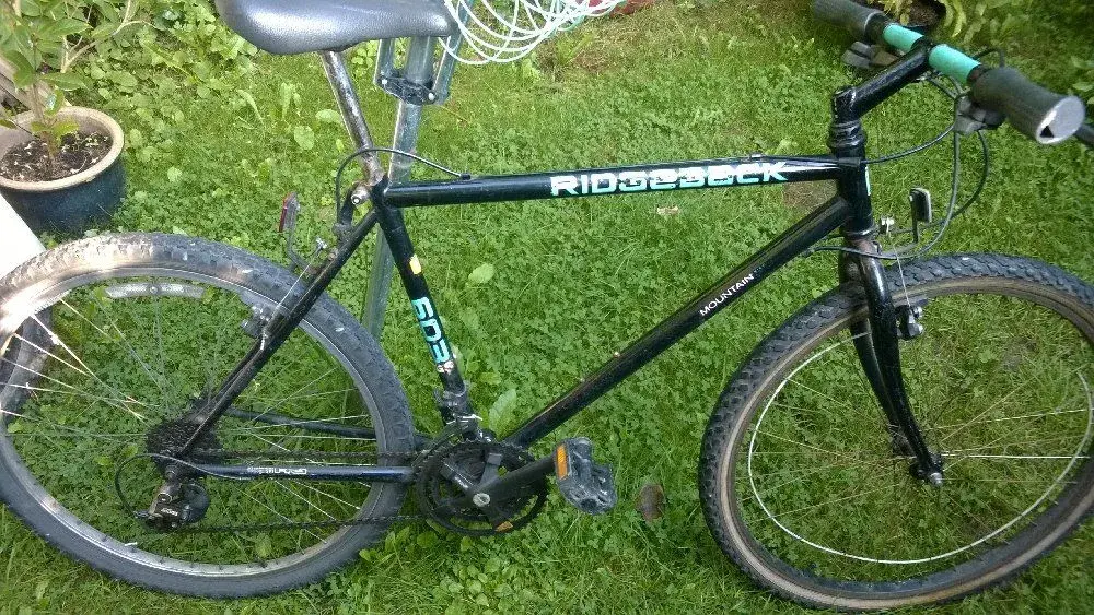 Two Ridgebacks | Retrobike