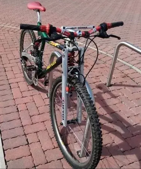 Proflex Beast | Retrobike