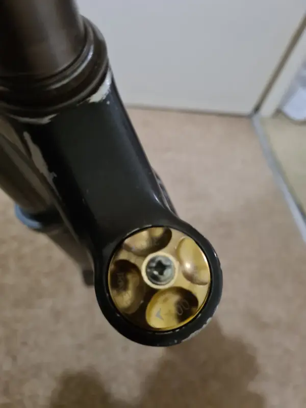Pace carbon suspension fork | Retrobike