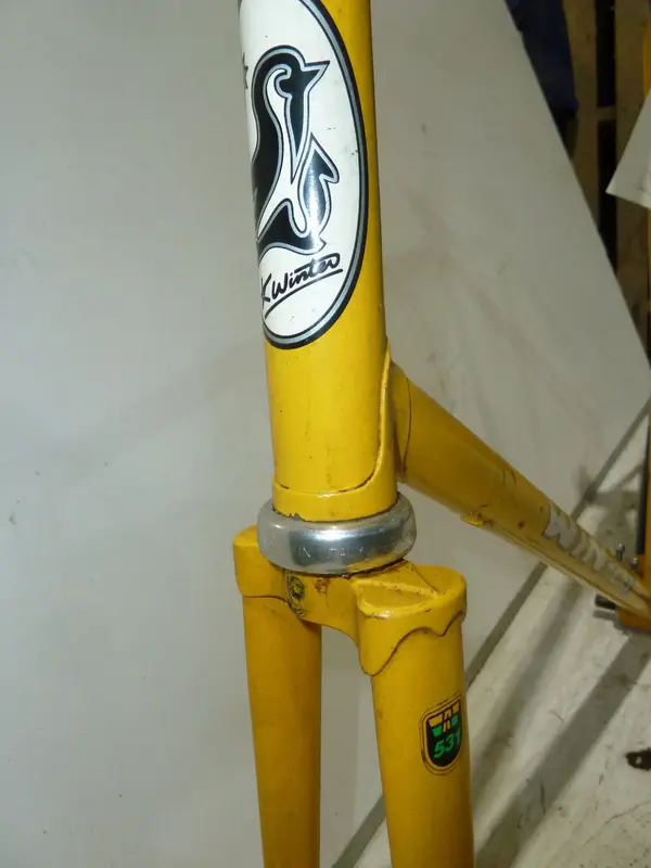 Kevin Winter Frame and Cannondale R700 for Valuation | Retrobike