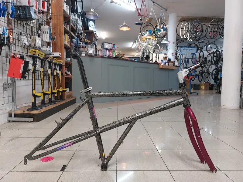 Elevated chainstay - Any ideas? | Retrobike