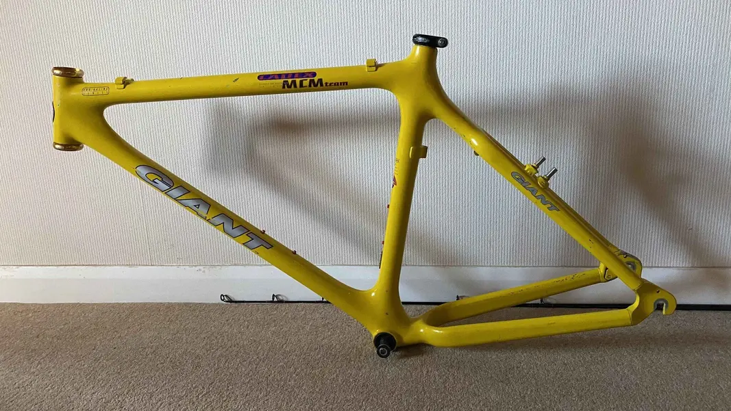 Wanted - Giant mcm frame | Retrobike