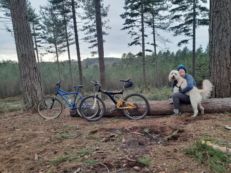 Show us your 4 legged riding buddies | Retrobike