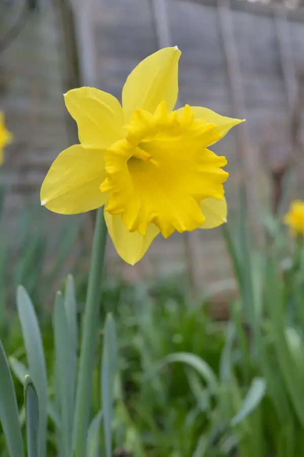 The Unofficial Official Photography Thread... | Page 150 | Retrobike