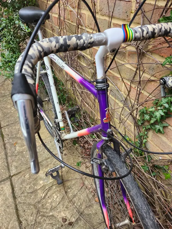 Sold - Raleigh Gemini Trail XC - CX bike early 90's | Retrobike