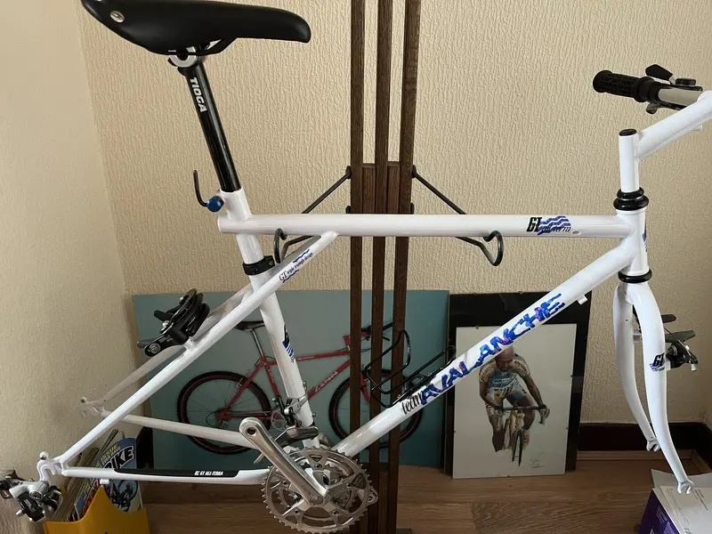 For Sale - SOLD 1989 GT Team Avalanche Restored frame package. Almost ...
