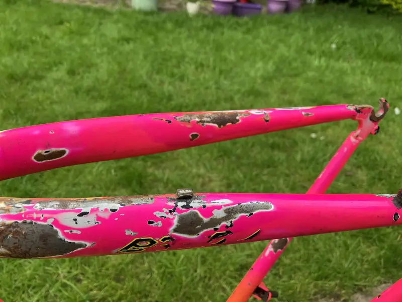 Advice needed - what to do with my Serotta frame | Retrobike