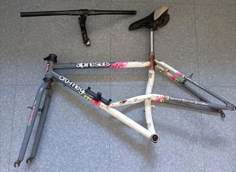1991 Alpinestars Cro-Mega - raising the dead... | Retrobike