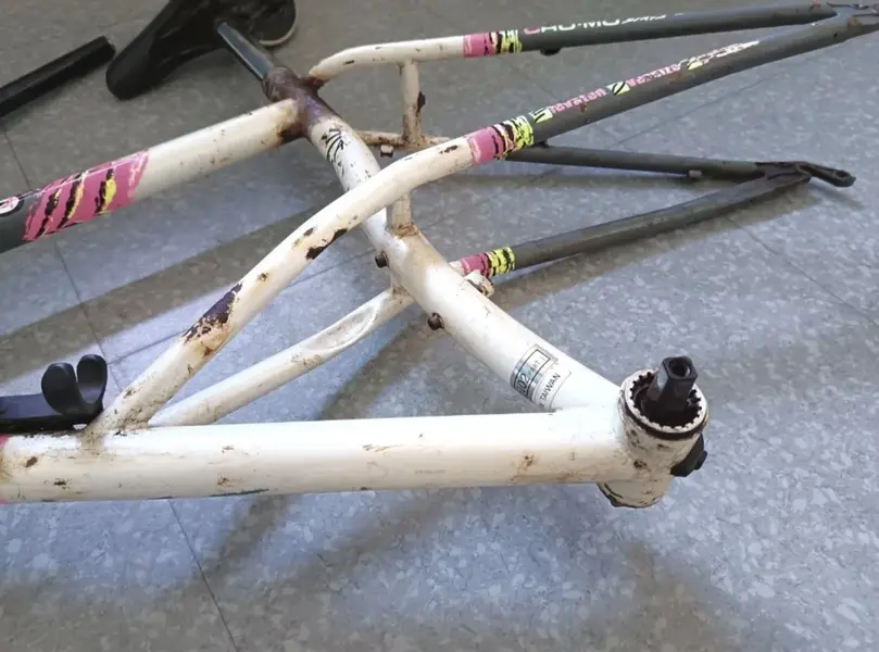 1991 Alpinestars Cro-Mega - raising the dead... | Retrobike